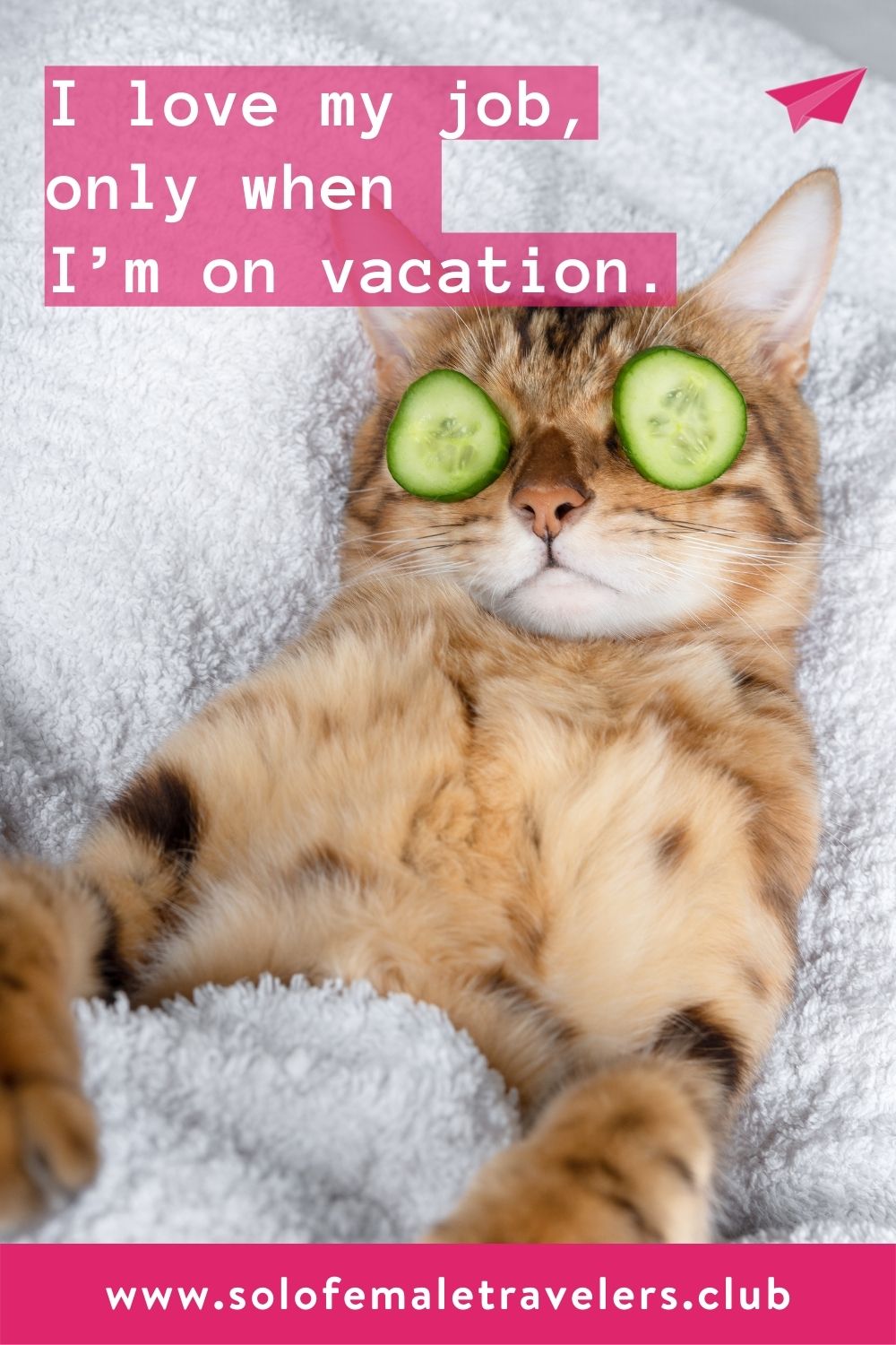 50+ Funny quotes on travel to laugh right now - Solo Female Travelers