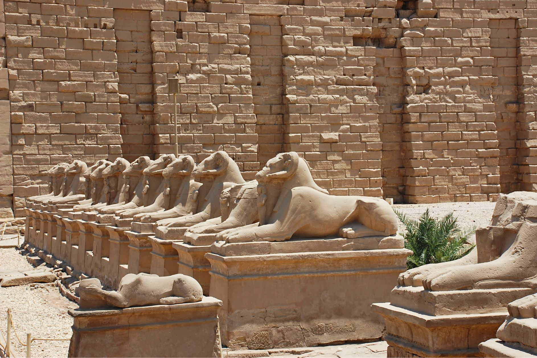 Egypt Solo Female Travel Safety Tips and Advice