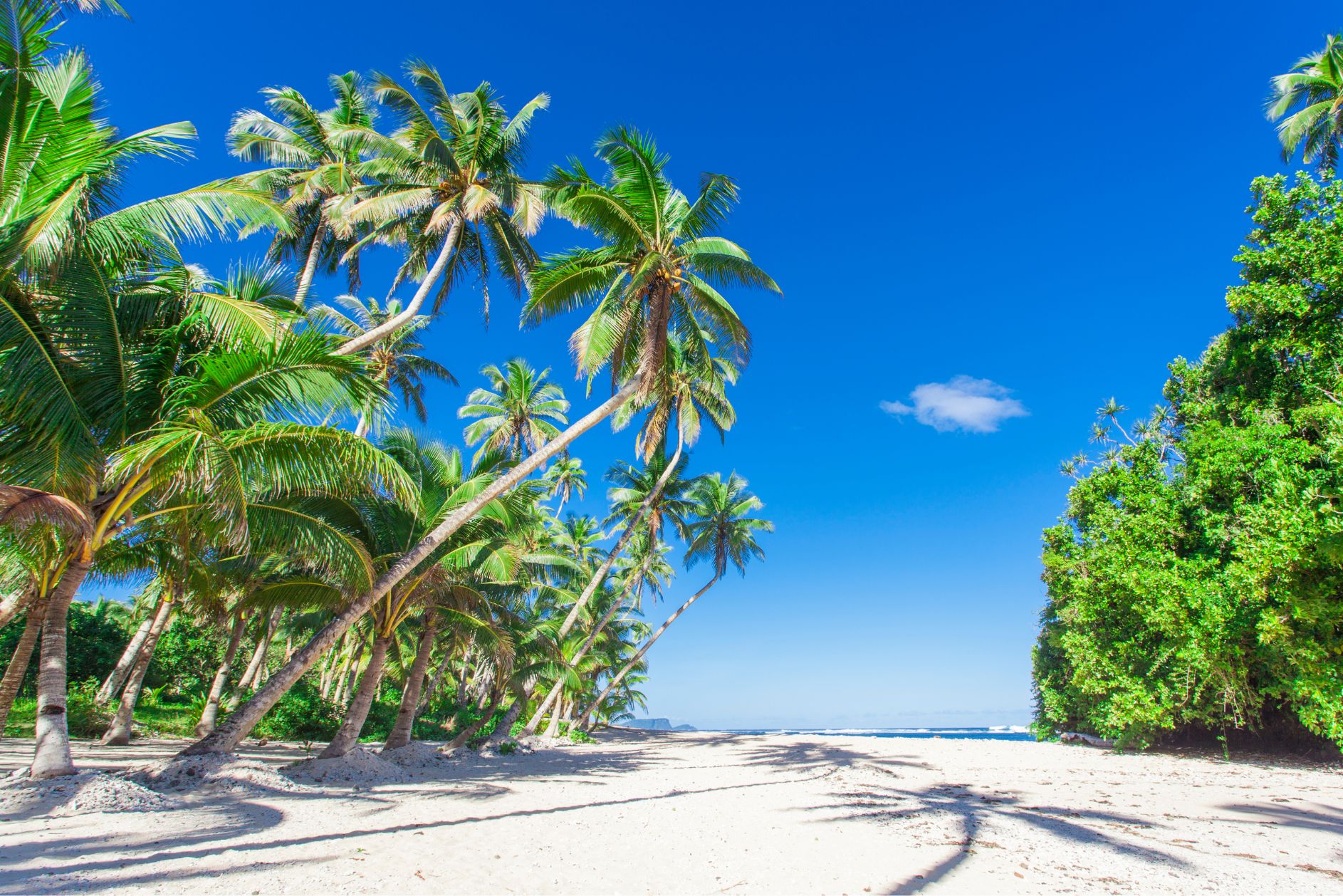 Samoa Solo Female Travel Safety Tips and Advice