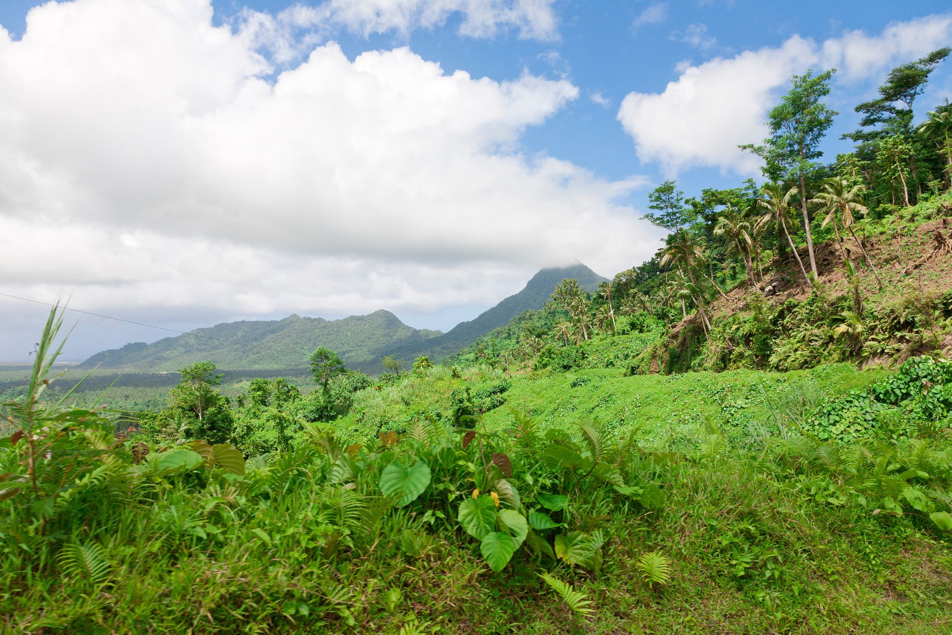 Samoa Solo Female Travel Safety Tips and Advice