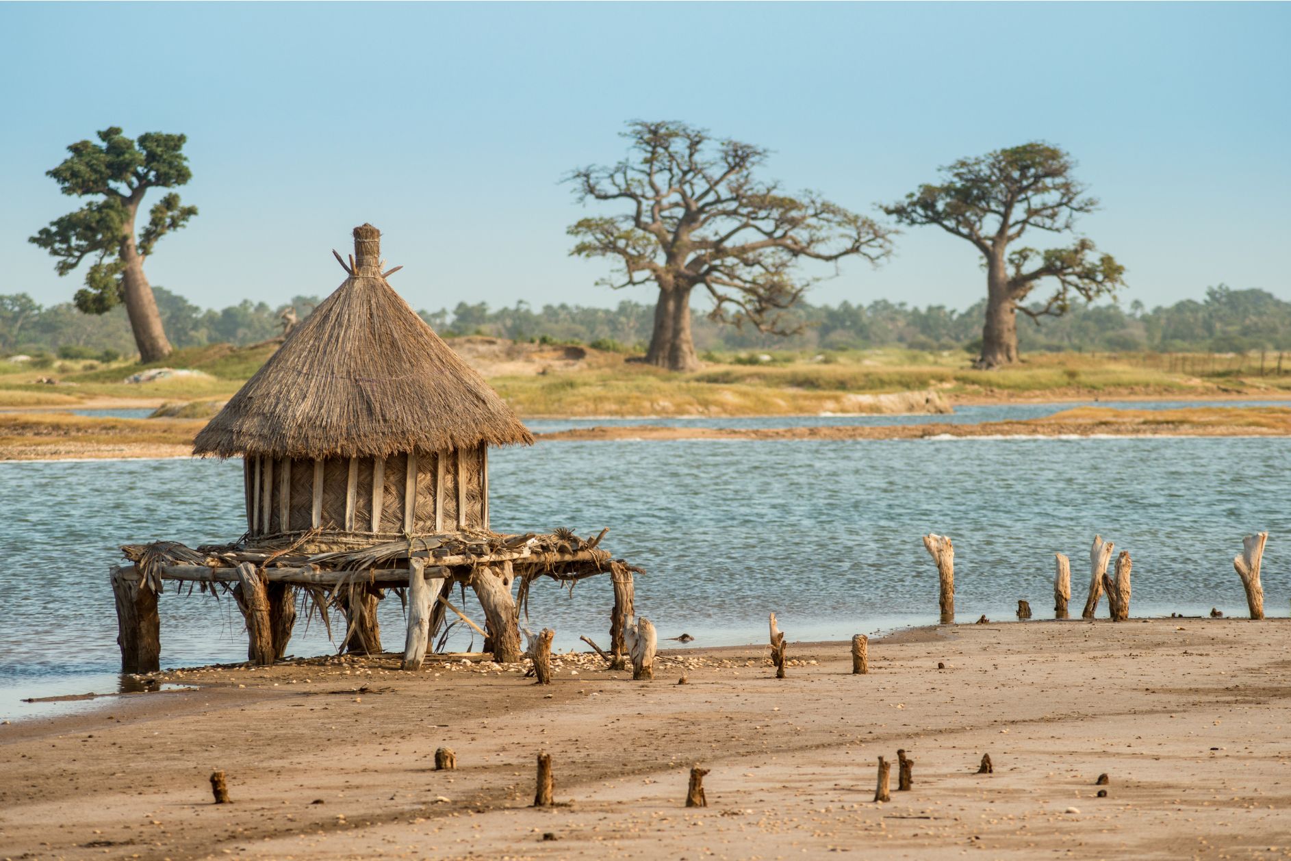 Senegal Solo Female Travel Safety Tips and Advice